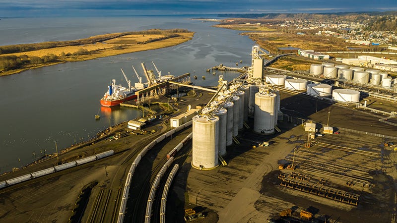 Soybean Meal Exports A Shining Star As Whole Soybean Trade Holds