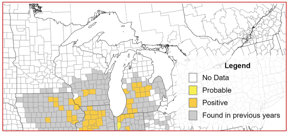 Tar spot: What to expect for the remainder of 2020 - Michigan Farm News