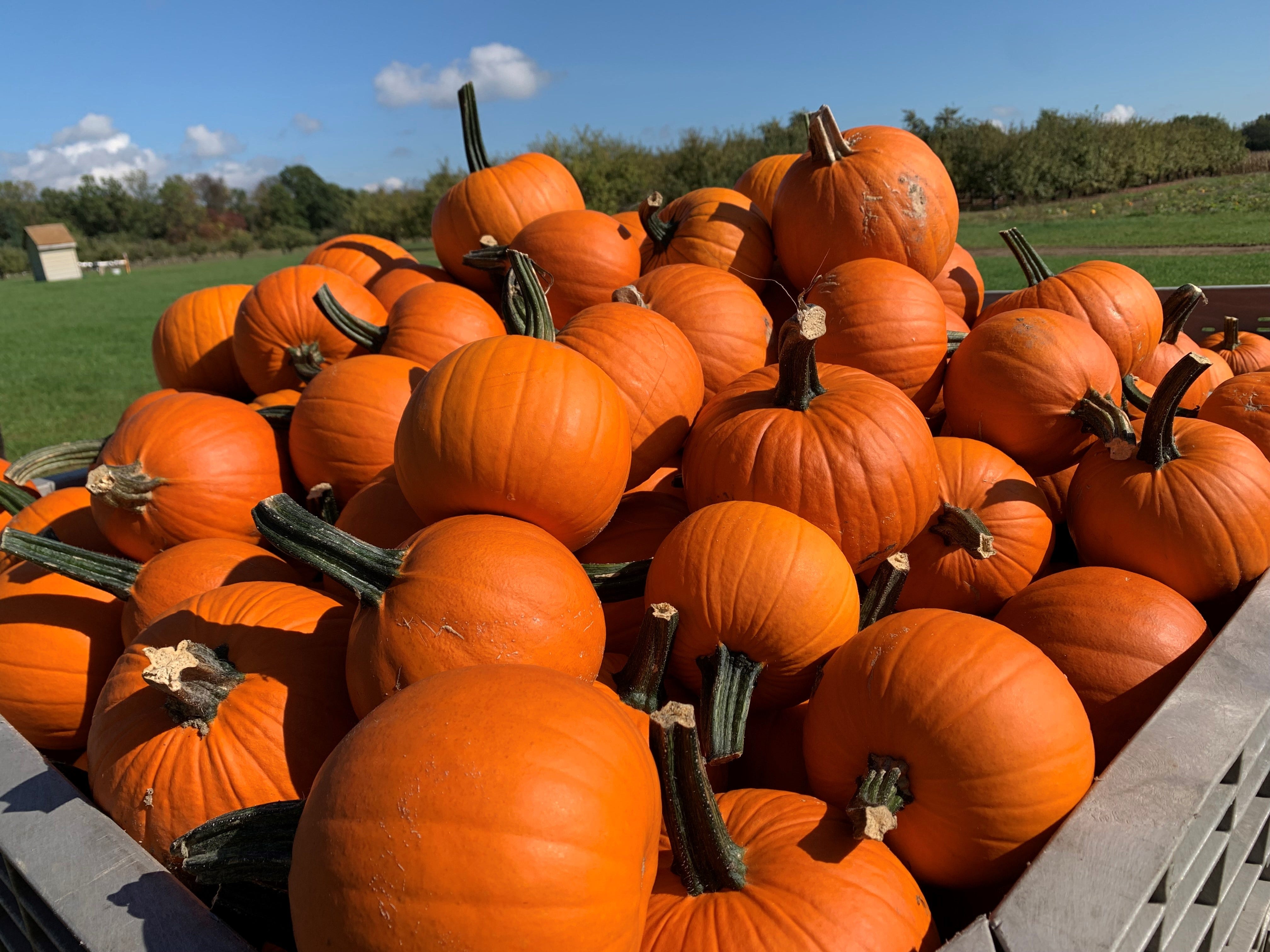 Do farms discharge antibiotics? - Michigan Farm News