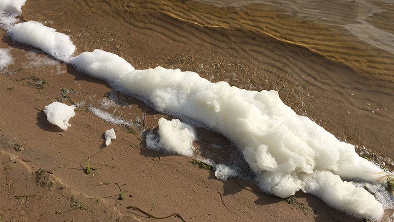 MDHHS reminds Michiganders to avoid foam on lakes, rivers with high ...