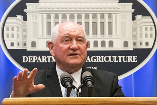 USDA announces MFP payment rates - Michigan Farm News