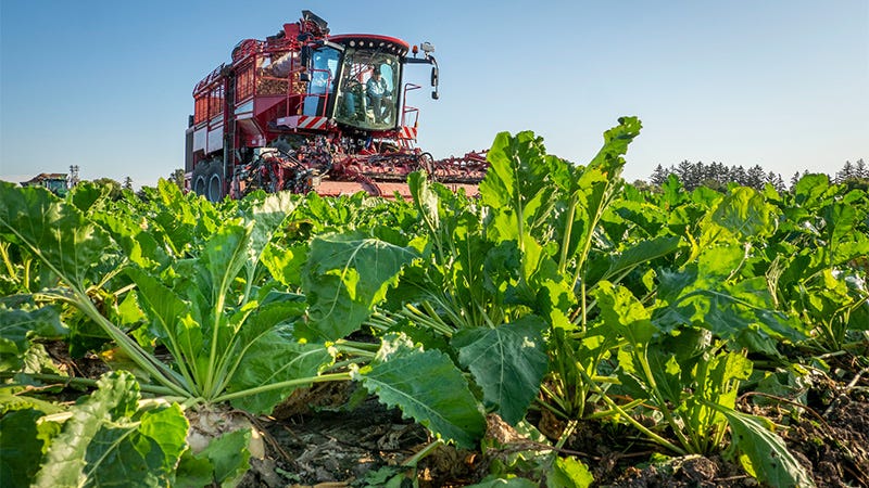 How healthy is Michigan’s forest land? - Michigan Farm News