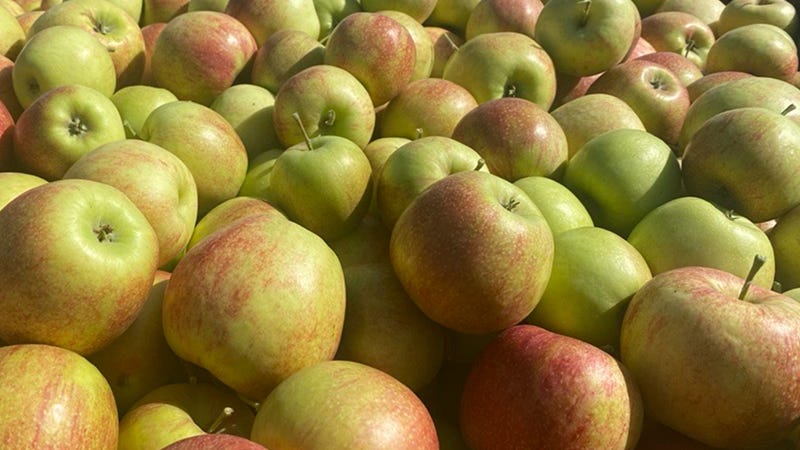 How large is Michigan’s apple crop going to be? Depends on who you ask ...
