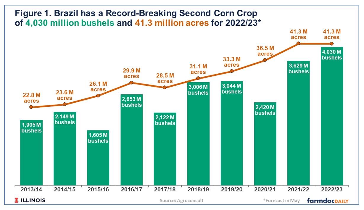 Brazil harvesting record second corn crop as prices plummet and sales ...