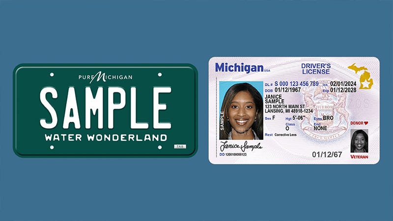Go green! Michigan bringing back 'Water Wonderland' license plate ...