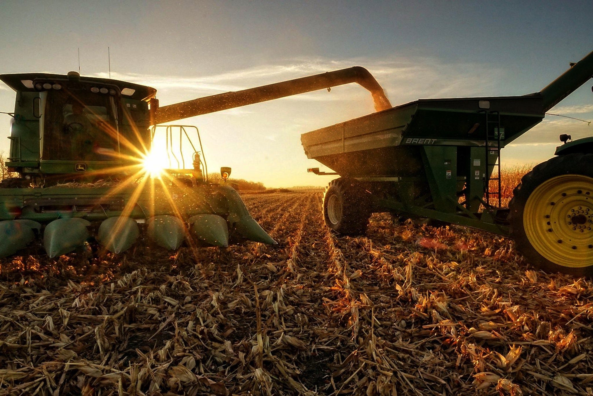 USDA predicts record corn yields in Michigan - Michigan Farm News