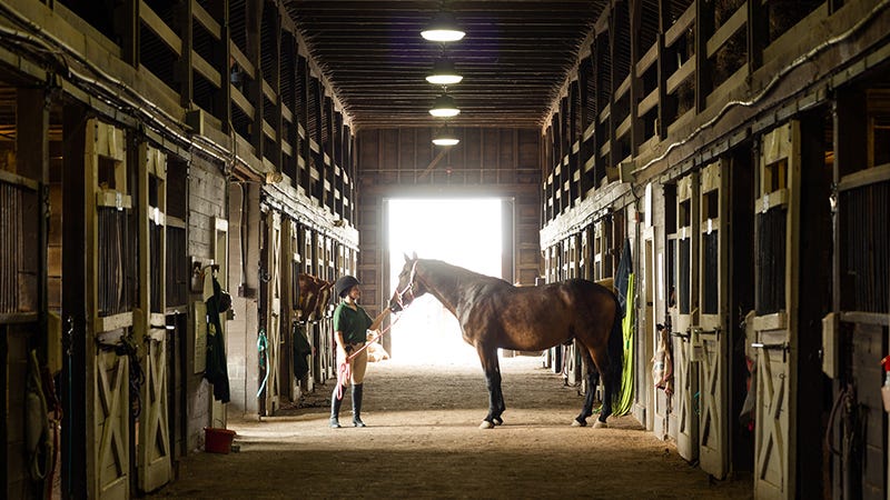 Tips on selecting a boarding farm - Michigan Farm News