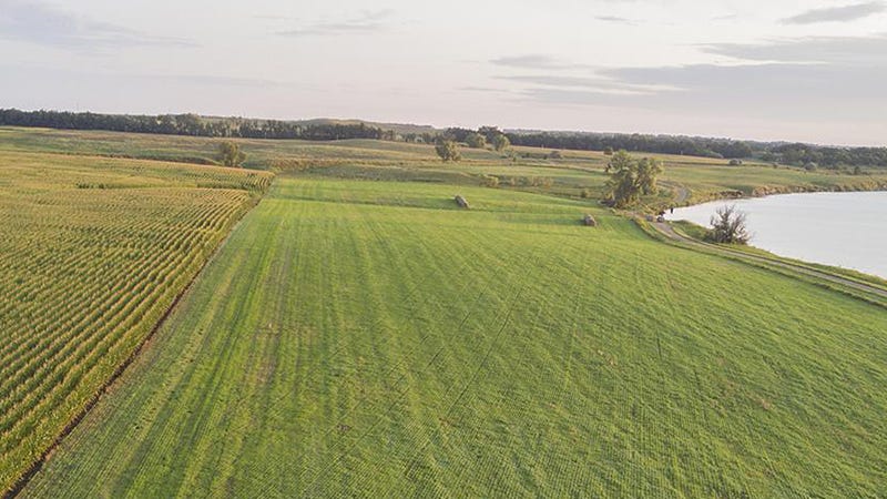 USDA sets Michigan deadline for stewardship applications - Michigan ...