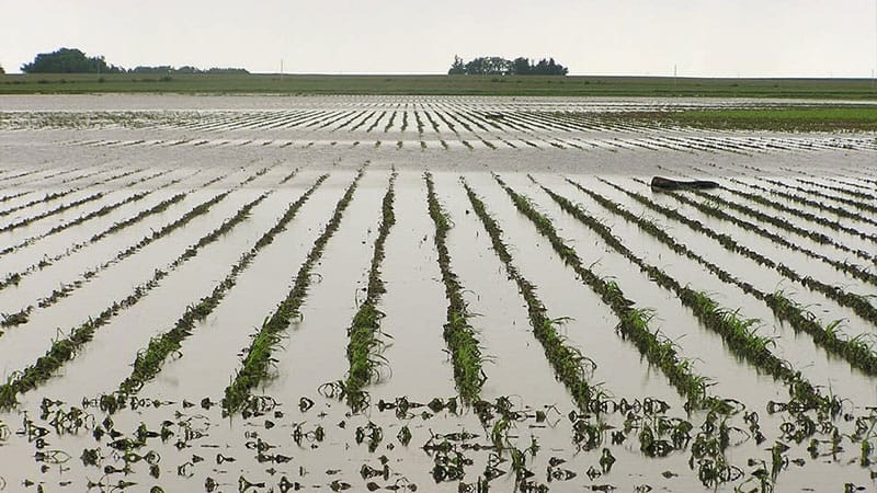 USDA announces Disaster Declarations for 43 Michigan counties ...