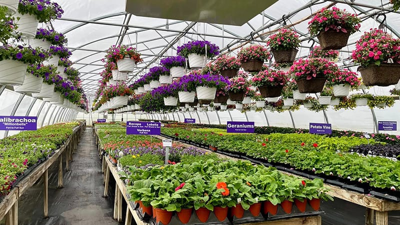 MDARD awards horticulture research grants to 3 MSU professors ...