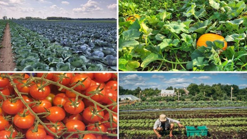 Don't miss the Feb. 12 Southeast Michigan Vegetable grower winter ...