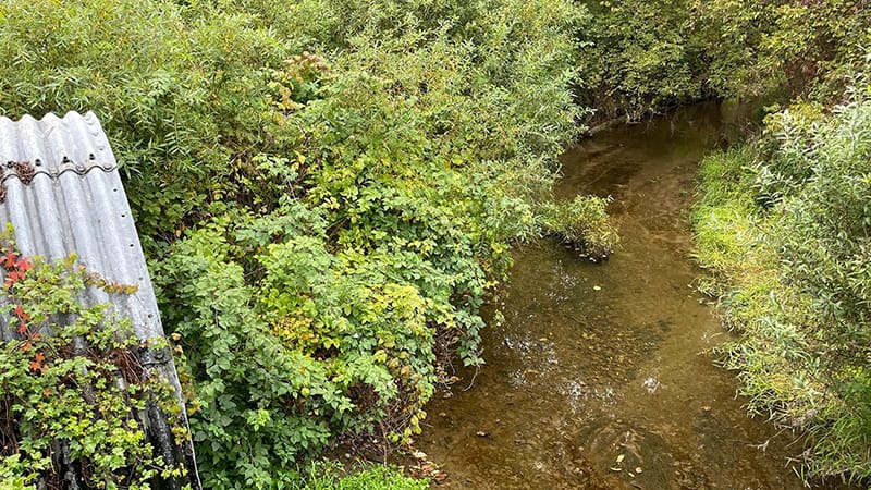 ‘This is what can happen’ — drain assessment bill prompts warning from ...