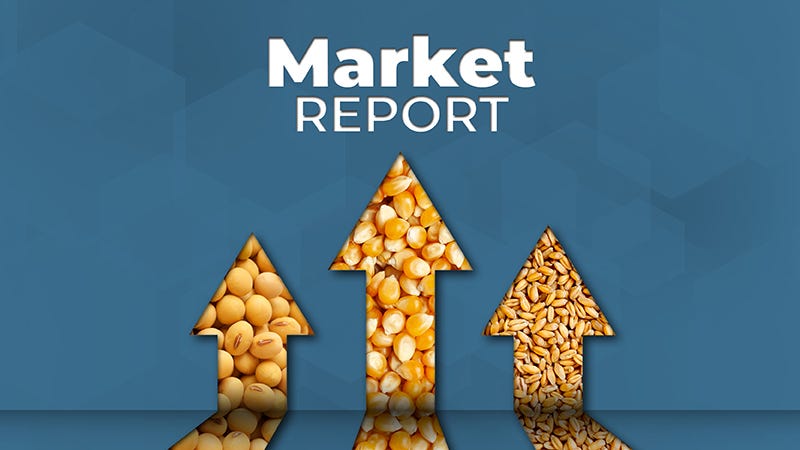 DNR: Michigan Wolf population highest since 2012, remains stable ...