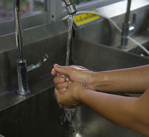 Biosecurity must remain top priority on every Michigan farm - Michigan ...