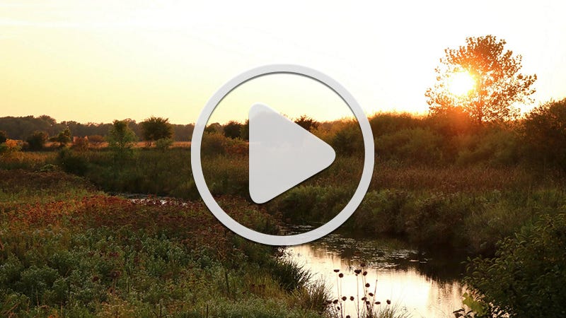 17M pounds of soil kept on farm fields: Celebrating the Maple River ...