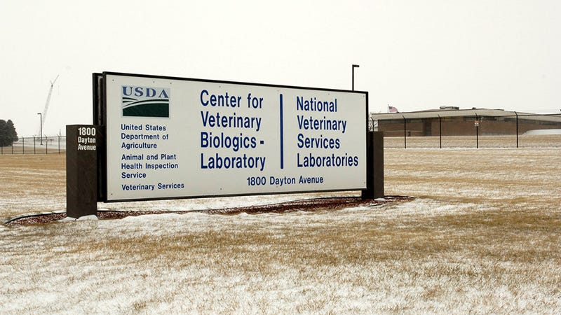 Additional H5N1 strain detected in Nevada dairy cattle - Michigan Farm News