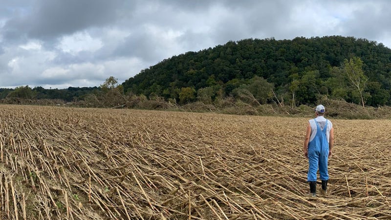 Hurricane Helene aftermath: MI Young Farmers offer help - Michigan Farm ...