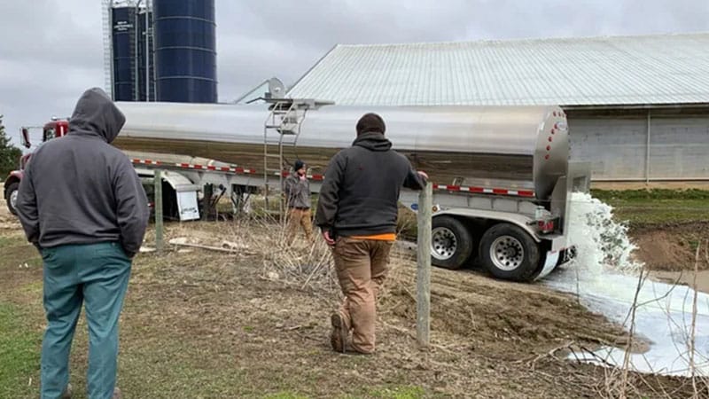 Pooling of dumped milk: How's it going to work? - Michigan Farm News