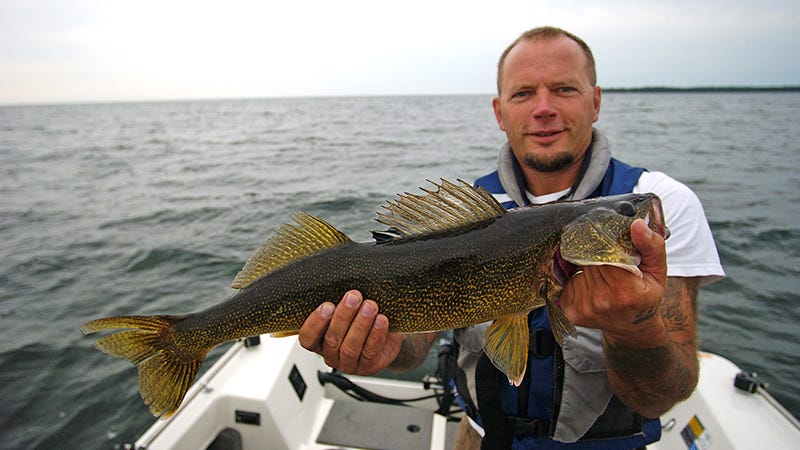 Midwest Walleye Challenge: Fish, win prizes and help the walleye ...