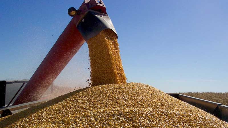 US 'one step away' from bringing USMCA hammer down on Mexico's corn ban ...