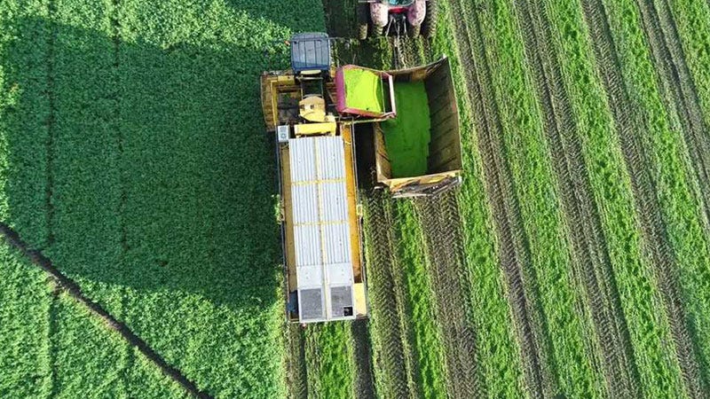 Gerber looks to Michigan farms in quest for carbon neutrality ...