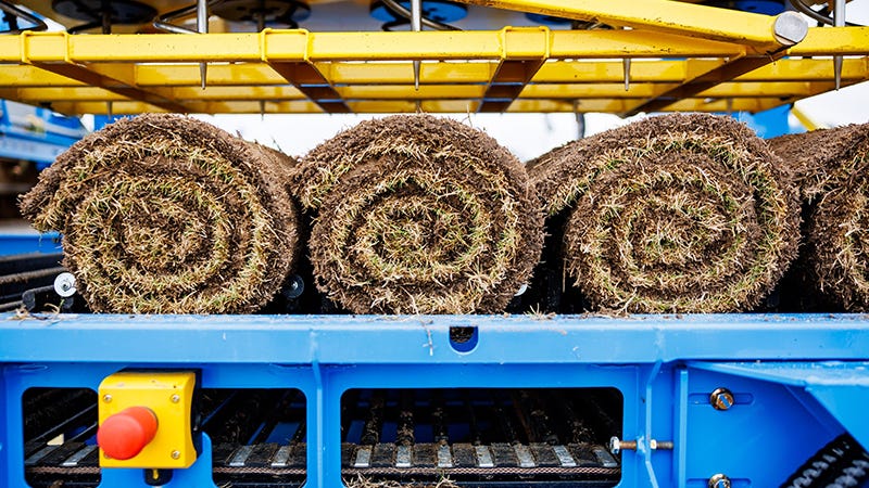 National Corn opens annual yield contest - Michigan Farm News