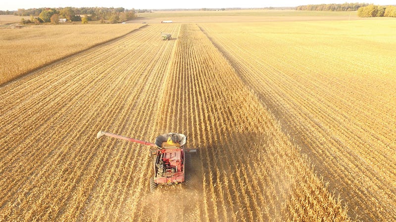 AgriGold expands Field GX hybrid classifications and recommendations ...