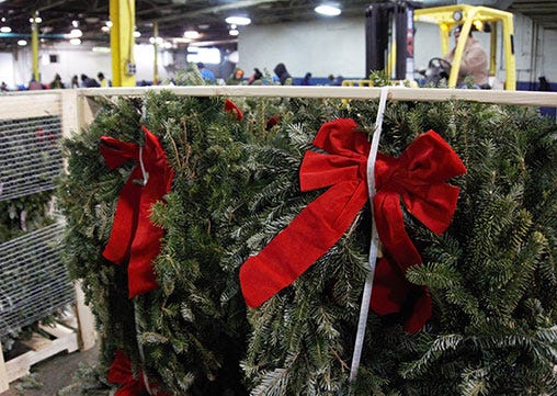 Dutchman Tree Farms – cultivating holiday cheer - Michigan Farm News