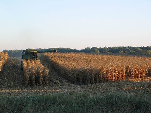 Falling crop prices spur risk management talk - Michigan Farm News