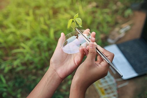 Using software to set up on-farm research - Michigan Farm News