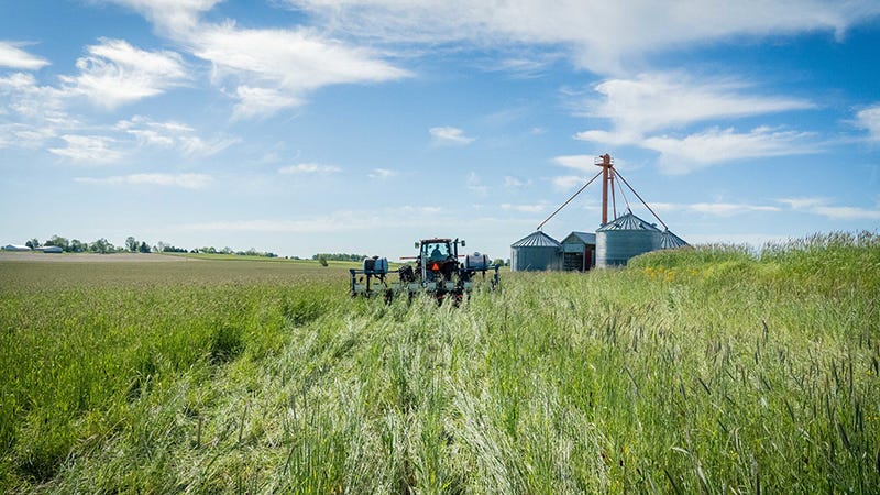 Enroll now: Ducks Unlimited approaching cover-crop-acre goal - Michigan ...