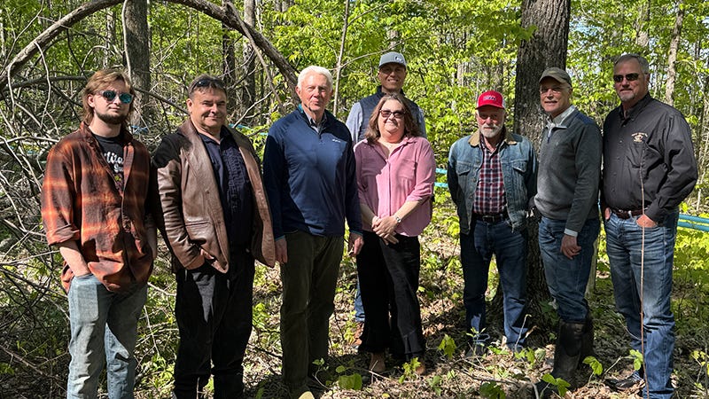 State FSA director announces disaster relief plans for maple syrup ...