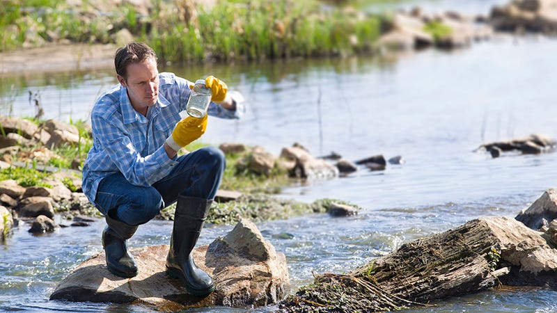 Michigan Clean Water Corps to be administered by MSU through new $1.7 ...