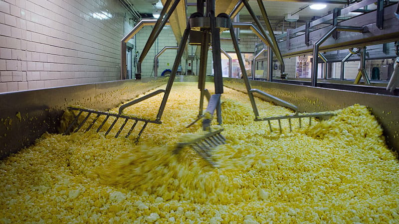 MMPA dairy products big winners in World Dairy Expo product contest ...