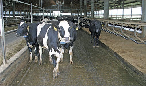 Right-to-Farm questions? MDARD makes it easy - Michigan Farm News