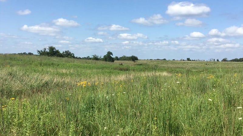 MSU chosen as partner in USDA soil carbon monitoring - Michigan Farm News