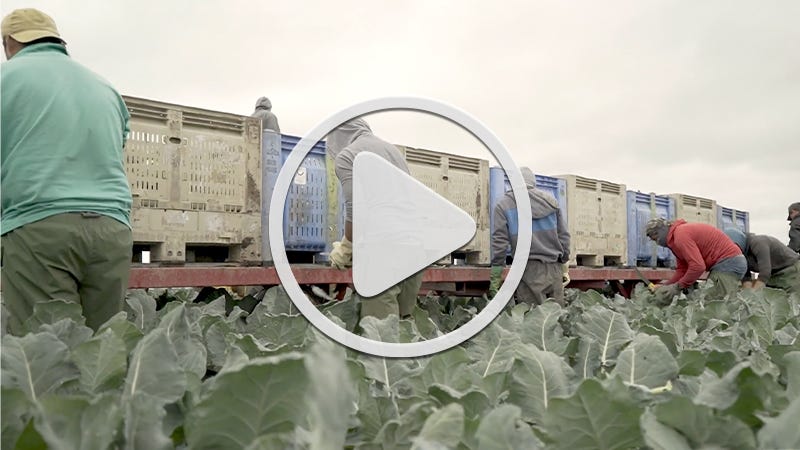 Home Page - Michigan Farm News