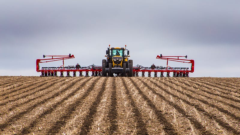 First 28 days 'critical' in achieving corn yield potential - Michigan ...