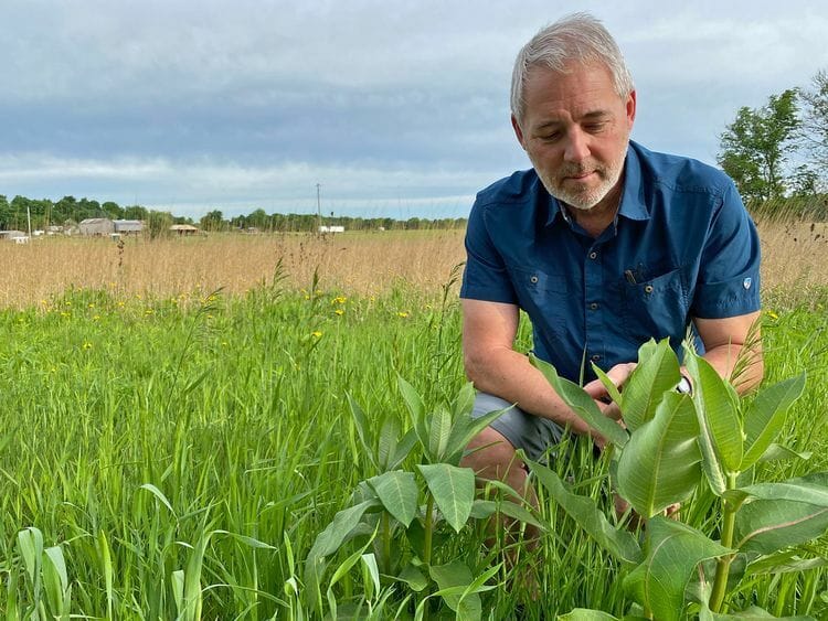 Doug Landis named Fellow of the American Association for the ...