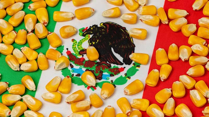 All systems go for USMCA action on Mexico's corn ban - Michigan Farm News