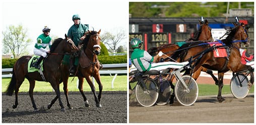 Bills would set steady pace for horse racing - Michigan Farm News