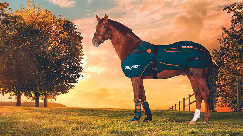 Help your horse combat chronic pain with proven pain management ...