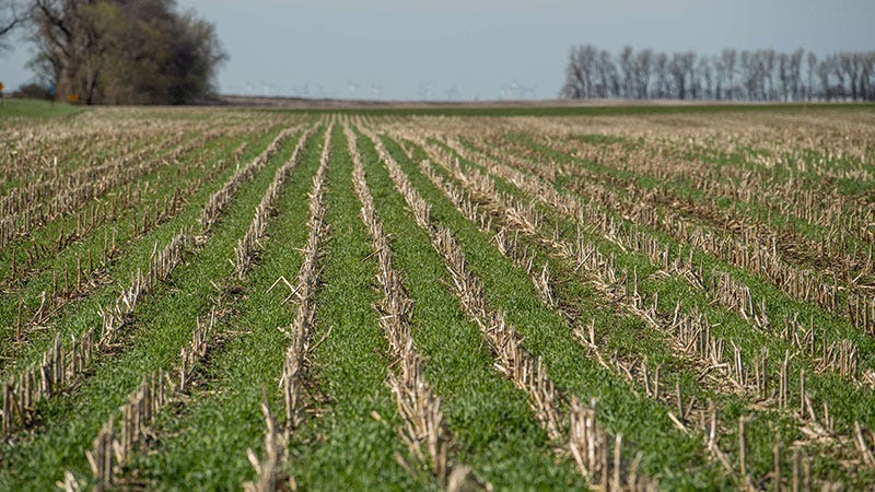 Bayer Carbon Program offers new grower opportunities for 2021 growing ...