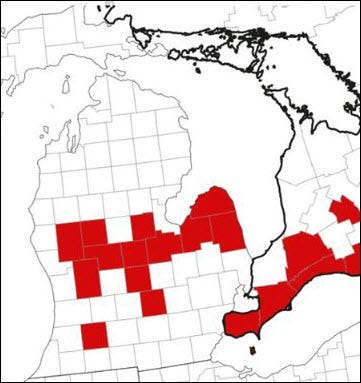 Wheat stripe rust outbreak reported across 13 mid-Michigan counties ...