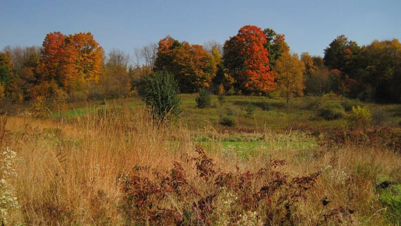 $9.7M in grants coming to Michigan Conservation Districts - Michigan ...