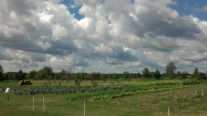 College students keep dairy’s message fresh - Michigan Farm News