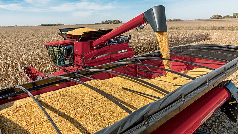 'FIRST 2023 Michigan Corn Trials' report released - Michigan Farm News