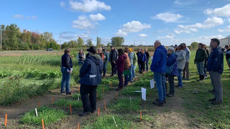 MSU: Join the cover crop service provider directory - Michigan Farm News