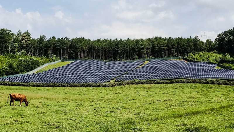 $1B in USDA renewable energy and efficiency grants available to farmers ...