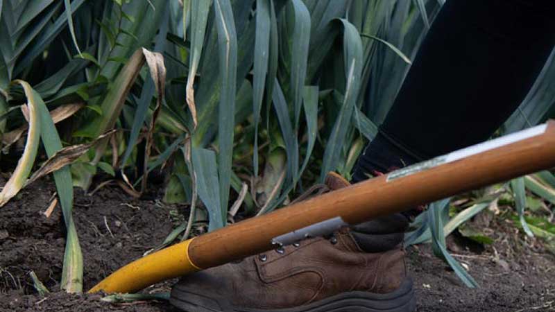 USDA hiring engineers, natural resource specialists nationwide to ...